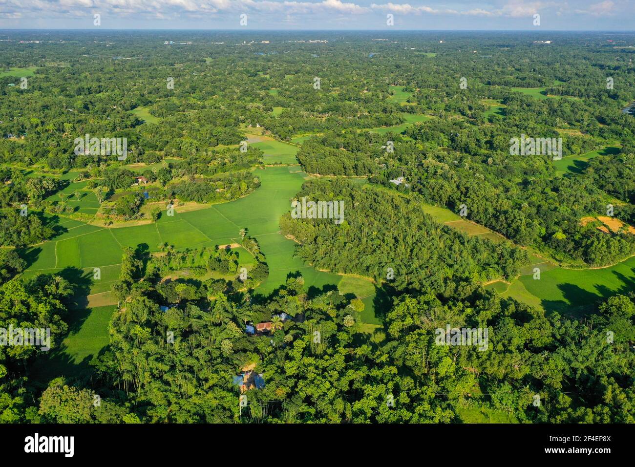 An aerial view of rural area and agricultural lands of Bhaluka of ...