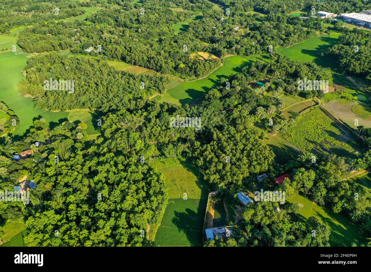 An aerial view of rural area and agricultural lands of Bhaluka of ...