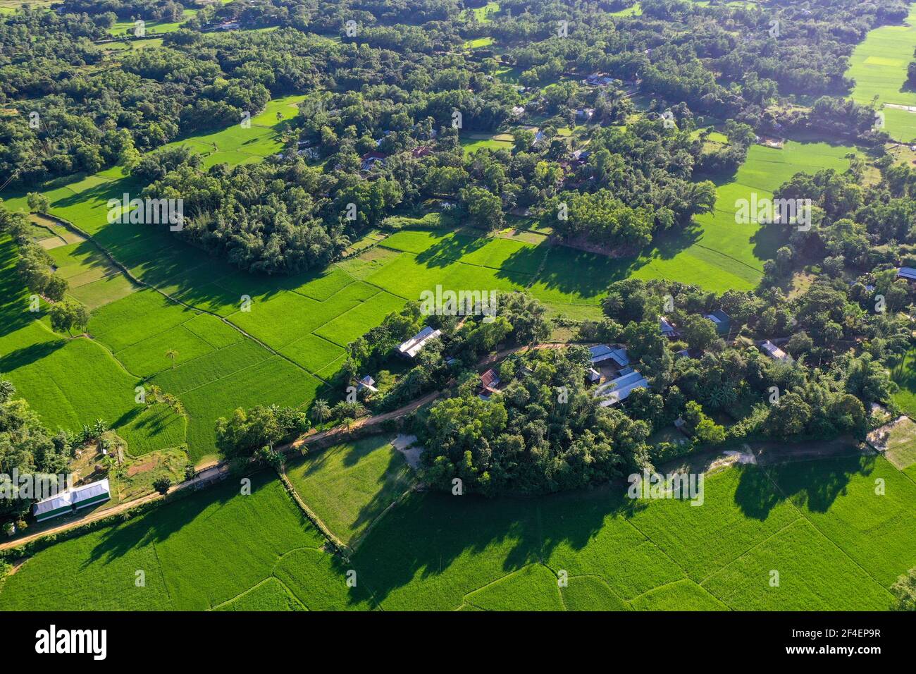 An aerial view of rural area and agricultural lands of Bhaluka of ...