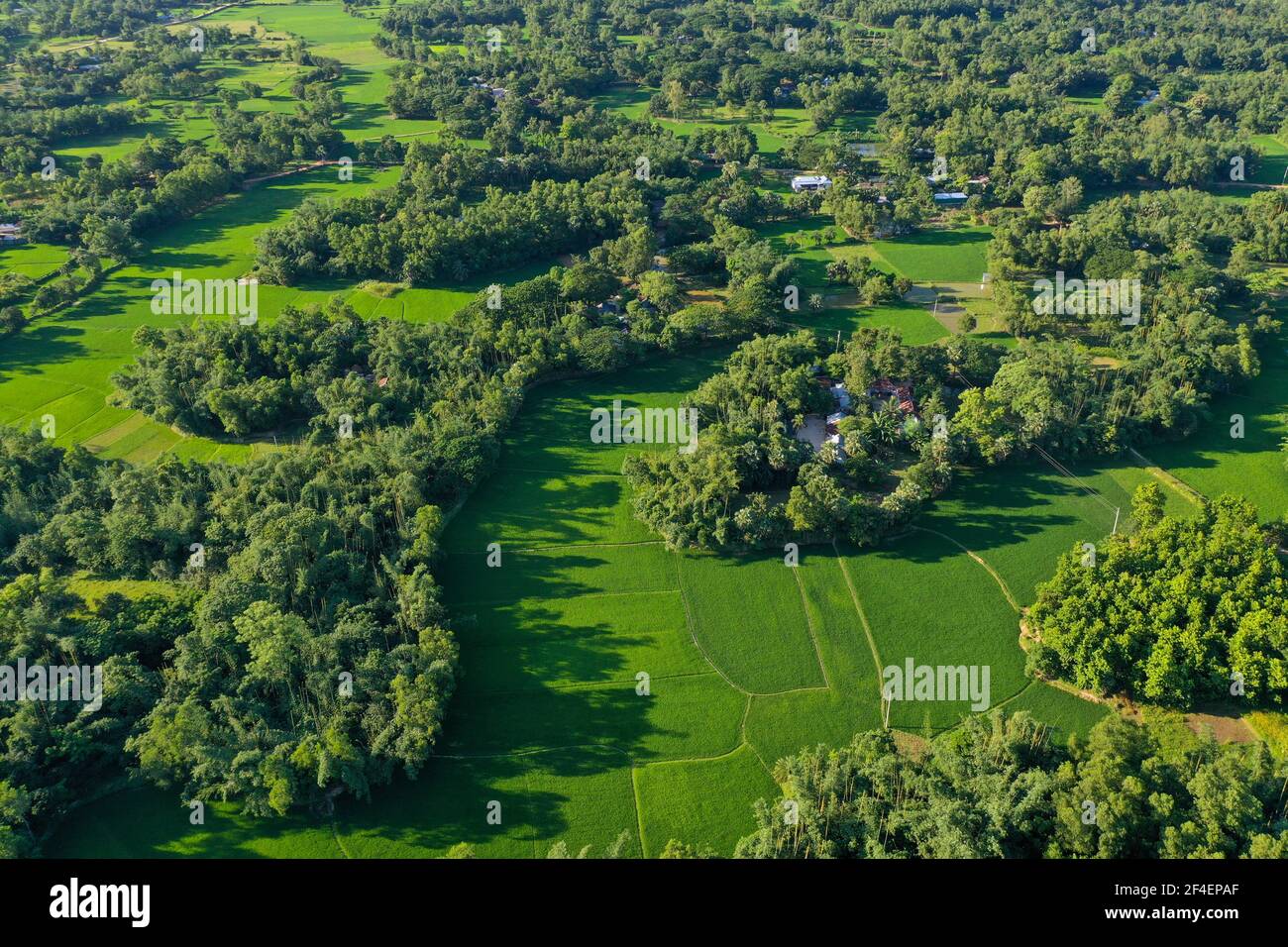 An aerial view of rural area and agricultural lands of Bhaluka of ...