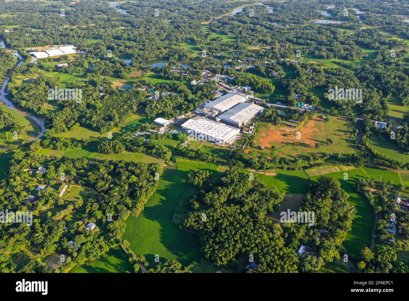 An aerial photo shows how the industry grabs the forest area and ...