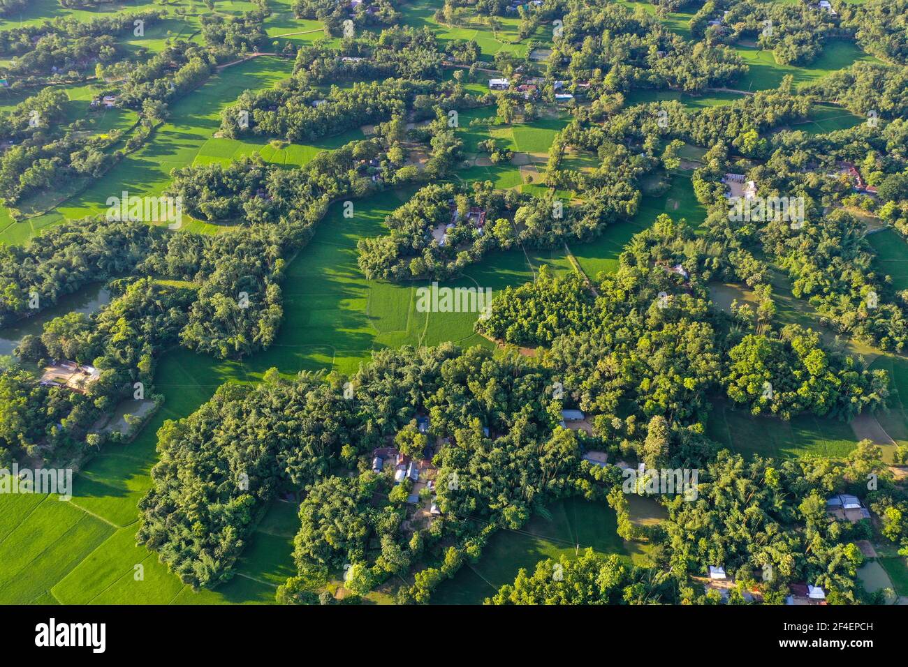 An aerial view of rural area and agricultural lands of Bhaluka of ...