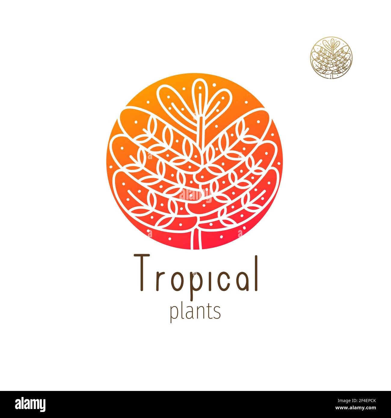 Tropical jungle logo Stock Vector Image & Art - Alamy