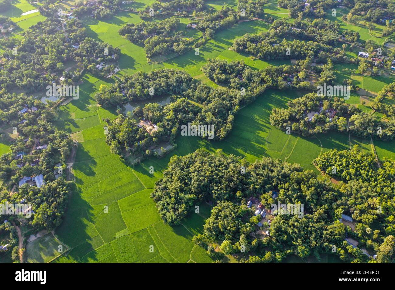 An aerial view of rural area and agricultural lands of Bhaluka of ...