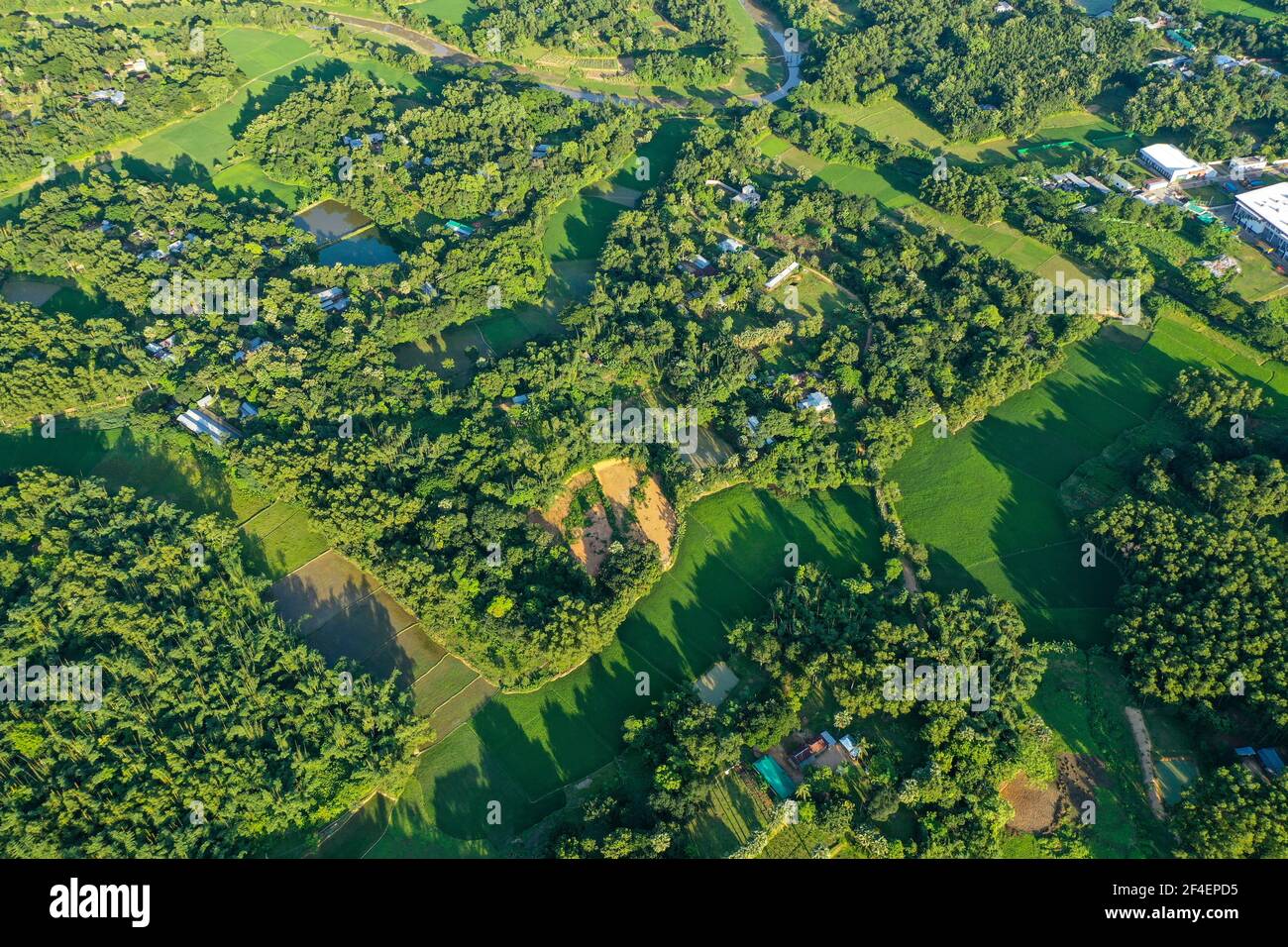 An aerial view of rural area and agricultural lands of Bhaluka of ...