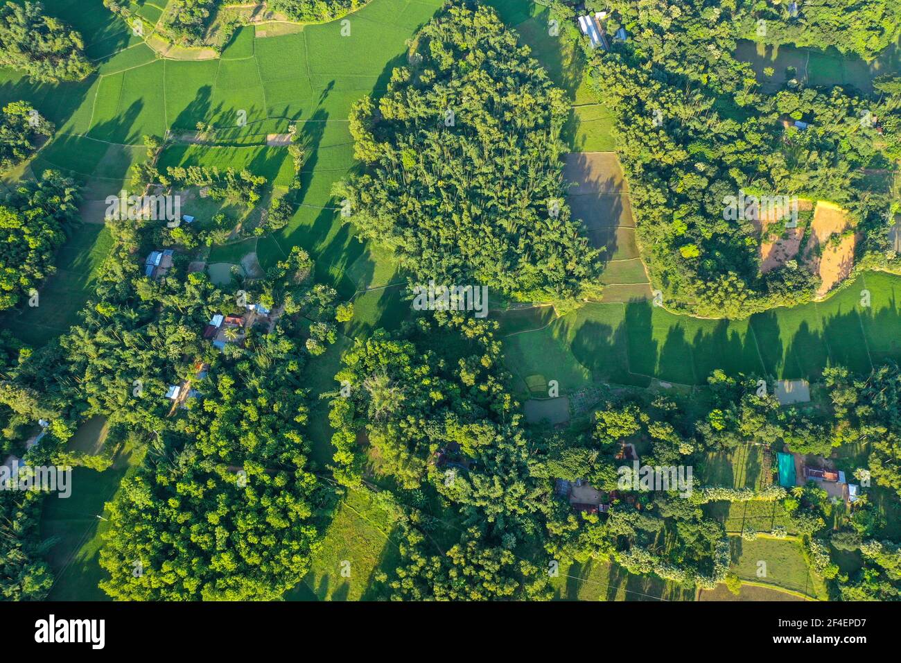 An aerial view of rural area and agricultural lands of Bhaluka of ...