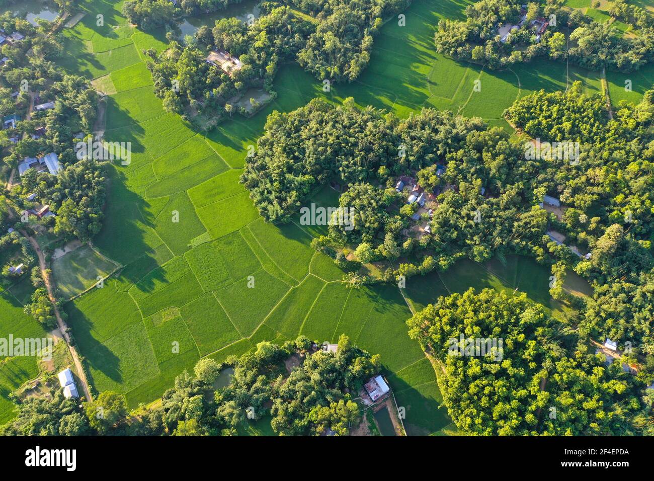 An aerial view of rural area and agricultural lands of Bhaluka of ...