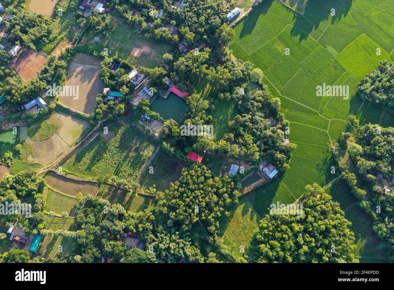 An aerial view of rural area and agricultural lands of Bhaluka of ...