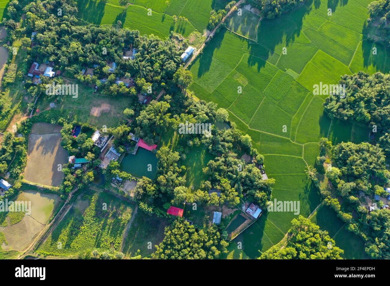 An aerial view of rural area and agricultural lands of Bhaluka of ...