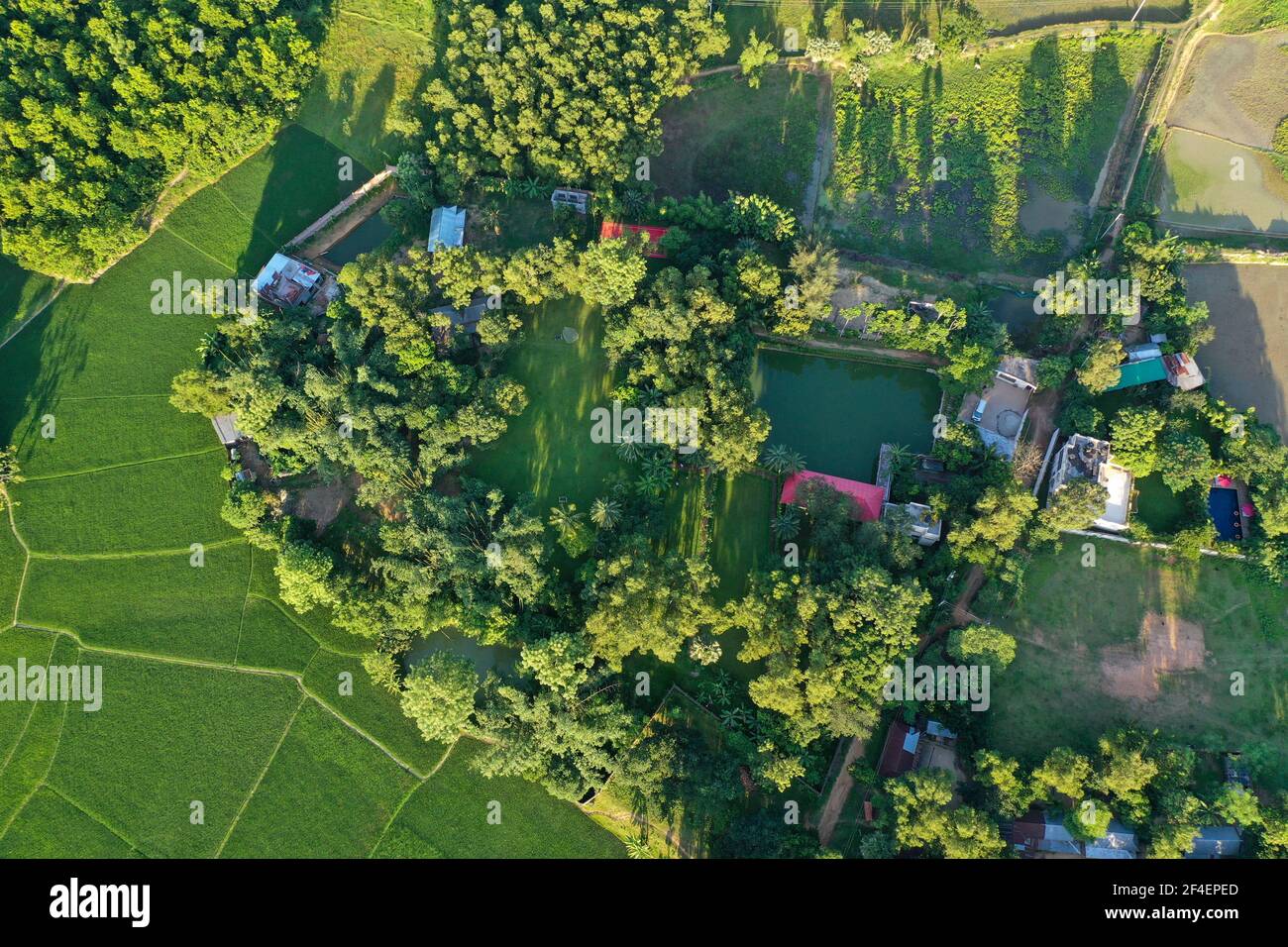 An aerial view of rural area and agricultural lands of Bhaluka of ...