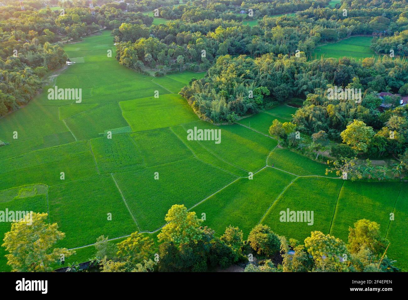 An aerial view of rural area and agricultural lands of Bhaluka of ...
