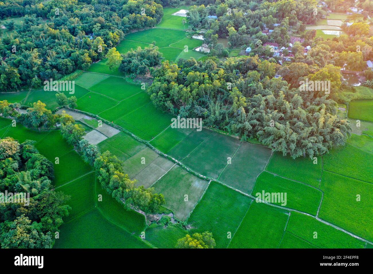 An aerial view of rural area and agricultural lands of Bhaluka of ...