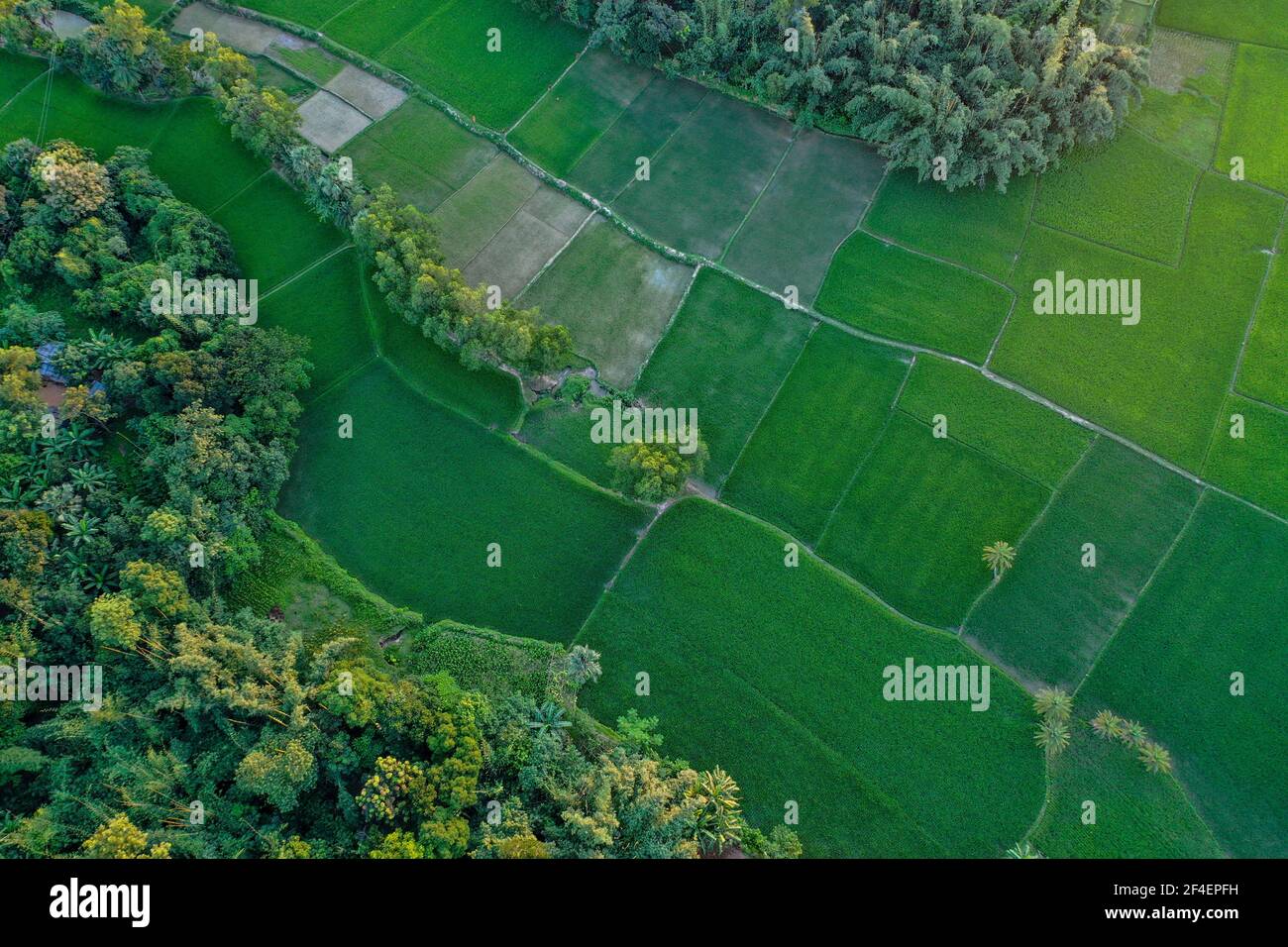 An aerial view of rural area and agricultural lands of Bhaluka of ...