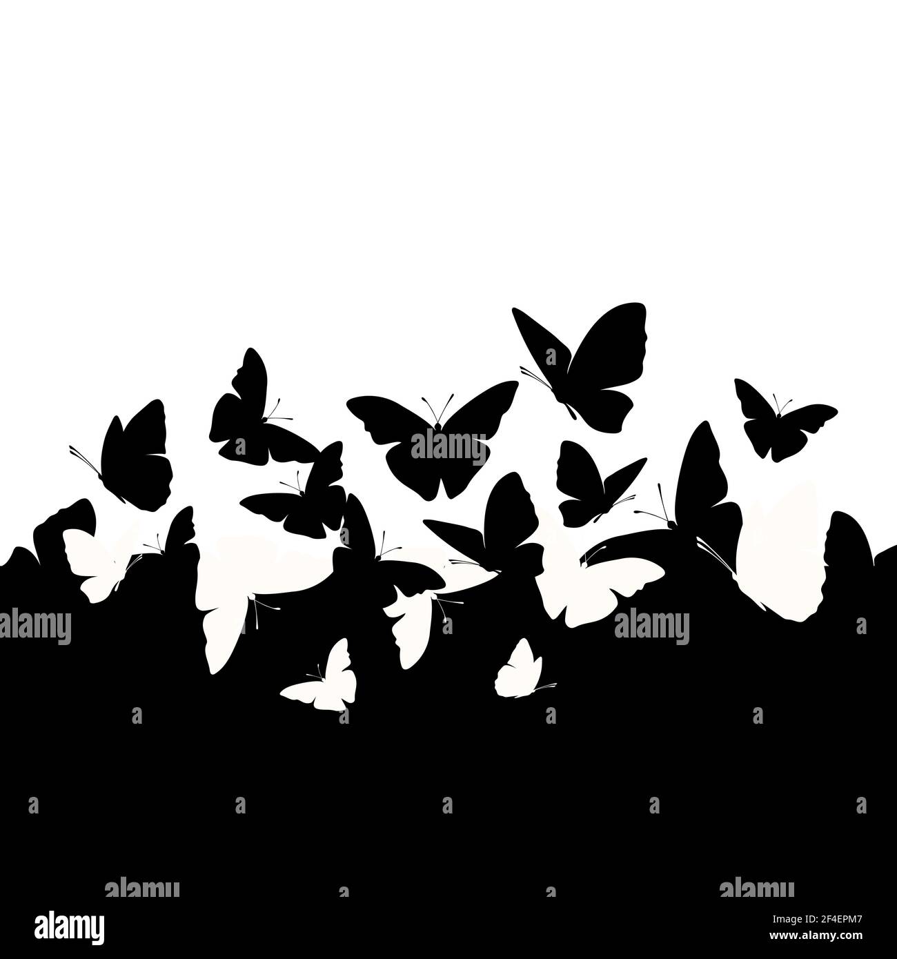Flying butterfly vector card. stock illustration. Abstract, Animal Body ...