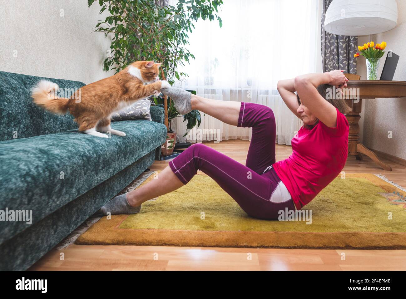 Pet exercises hi-res stock photography and images - Alamy