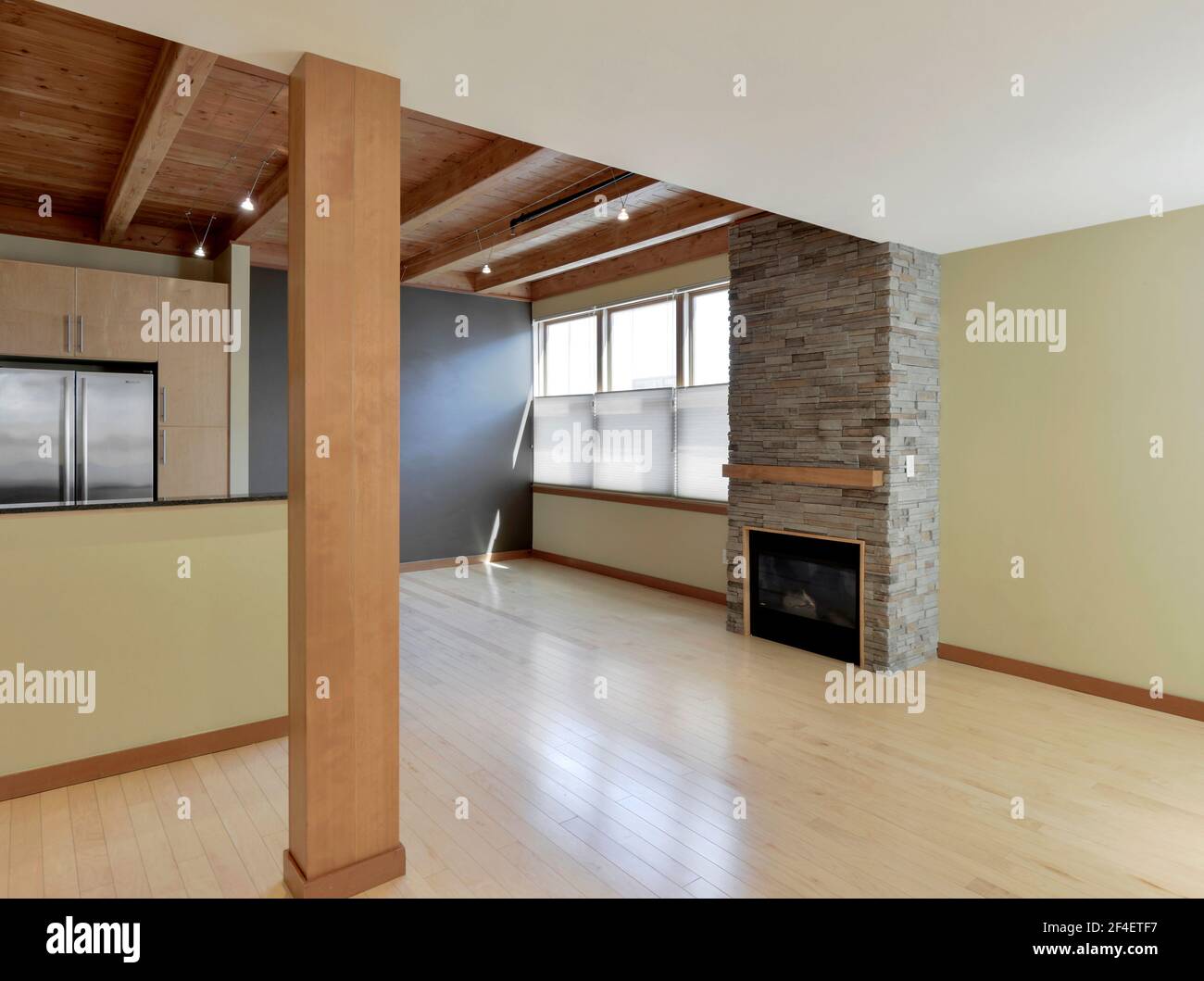 Modern residential empty living room interior Stock Photo - Alamy