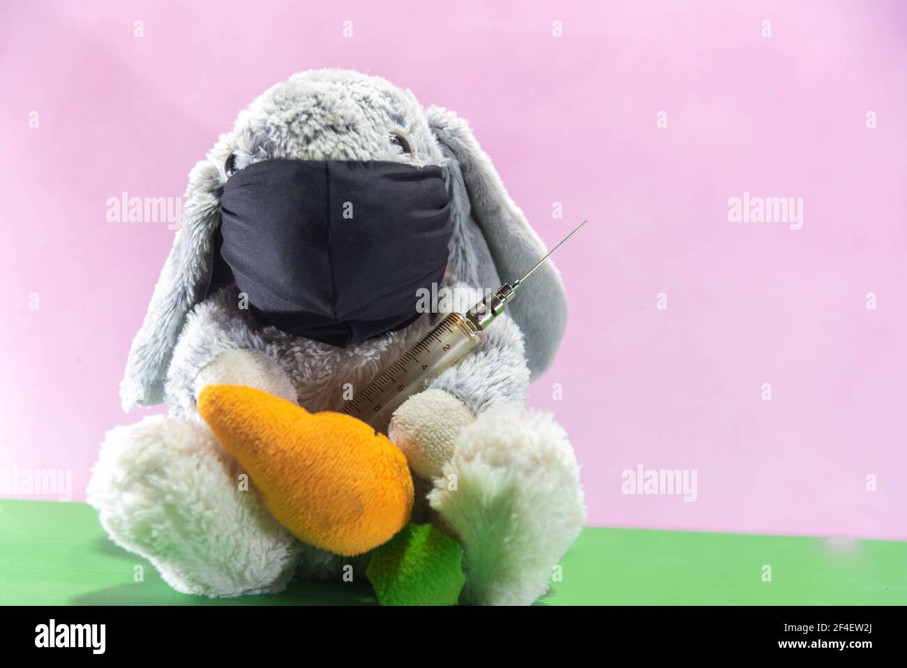 Plush Easter rabbit with a syringe to fight the covid-19. Catholic ...