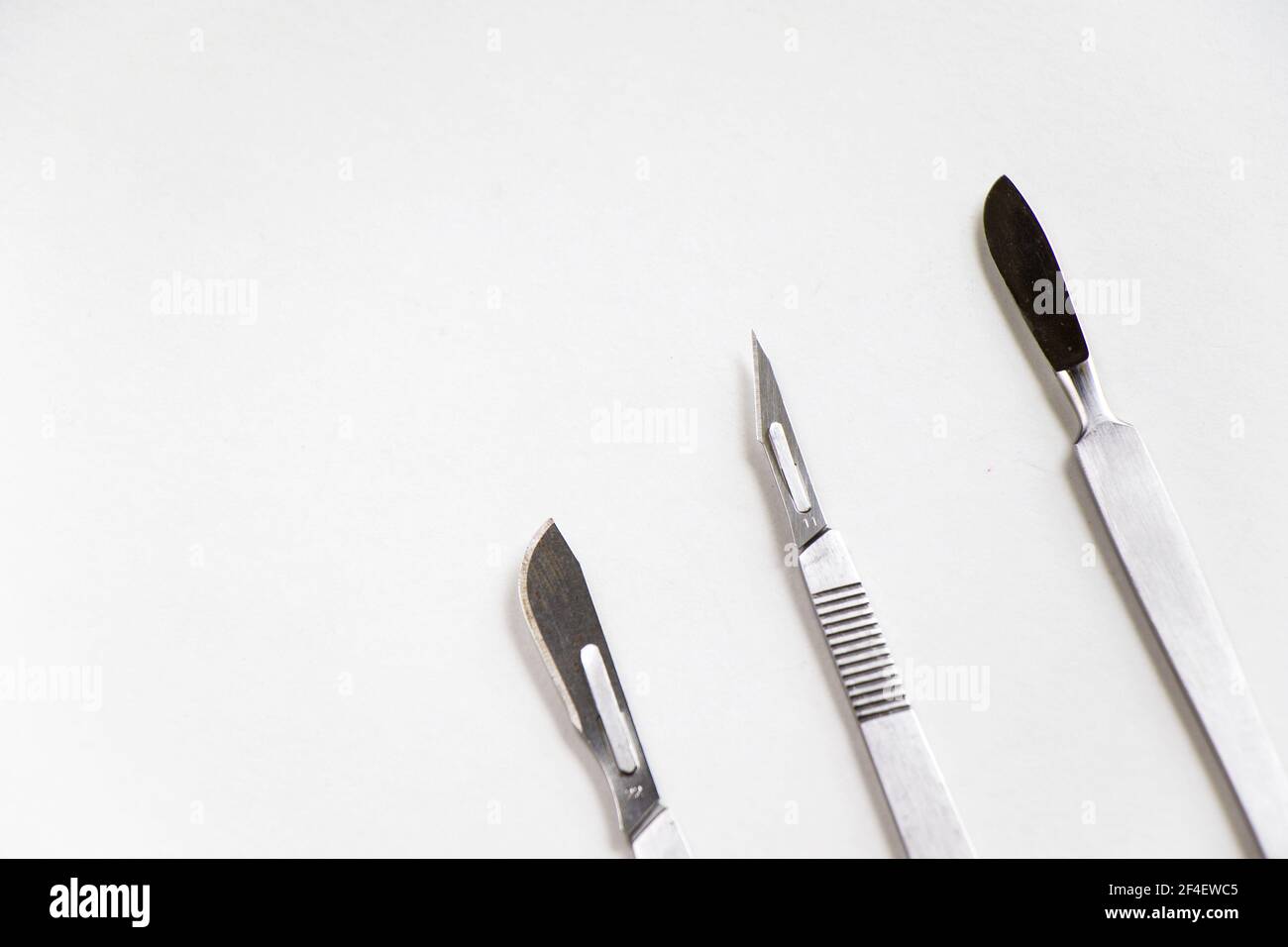 A dissection kit for medical students on white background Stock Photo ...