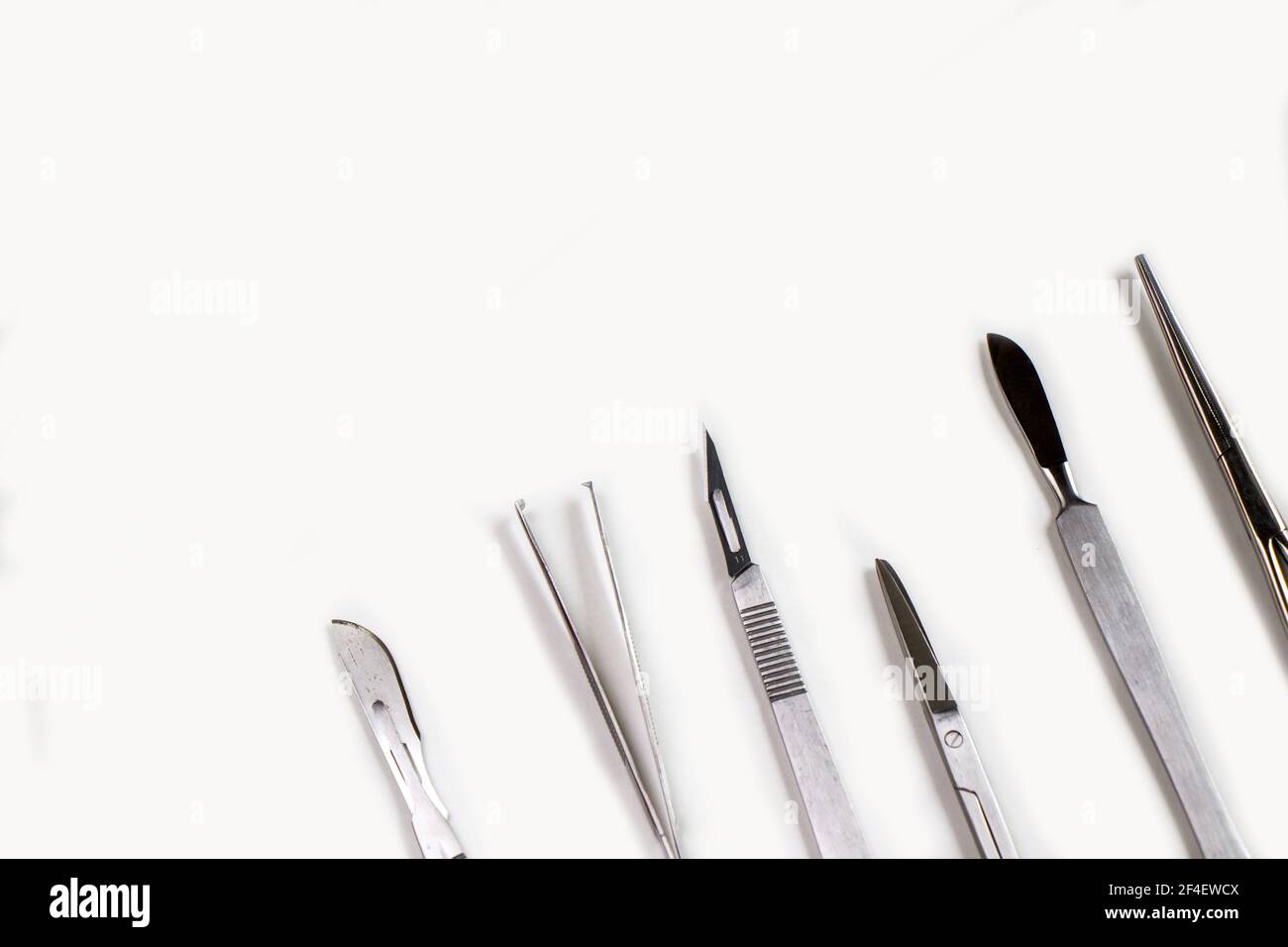 Dissection kit hi-res stock photography and images - Alamy