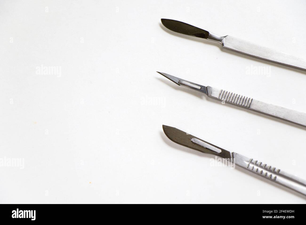 Dissection kit hi-res stock photography and images - Alamy