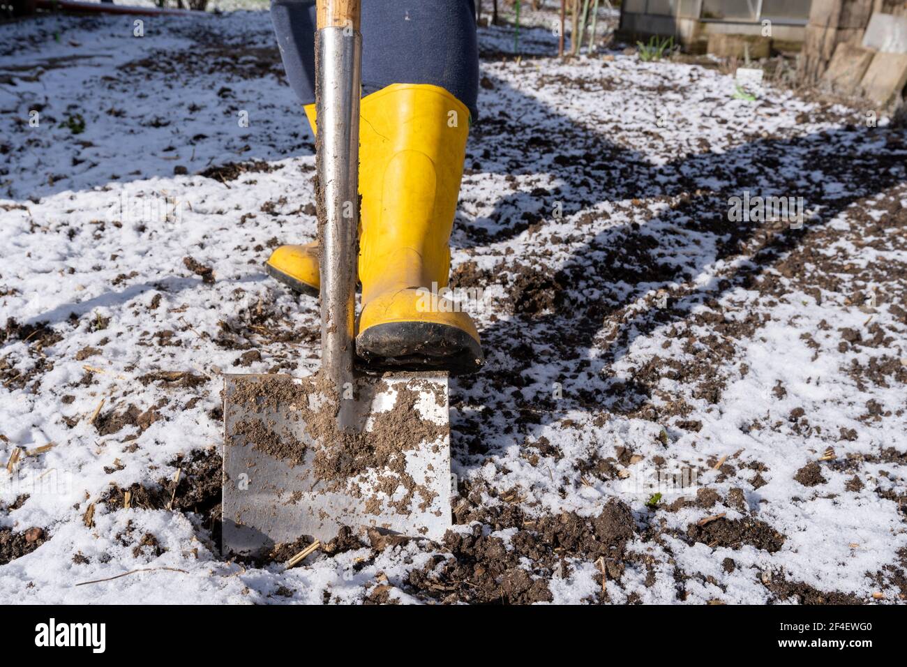 Garden fork digging hi-res stock photography and images - Alamy