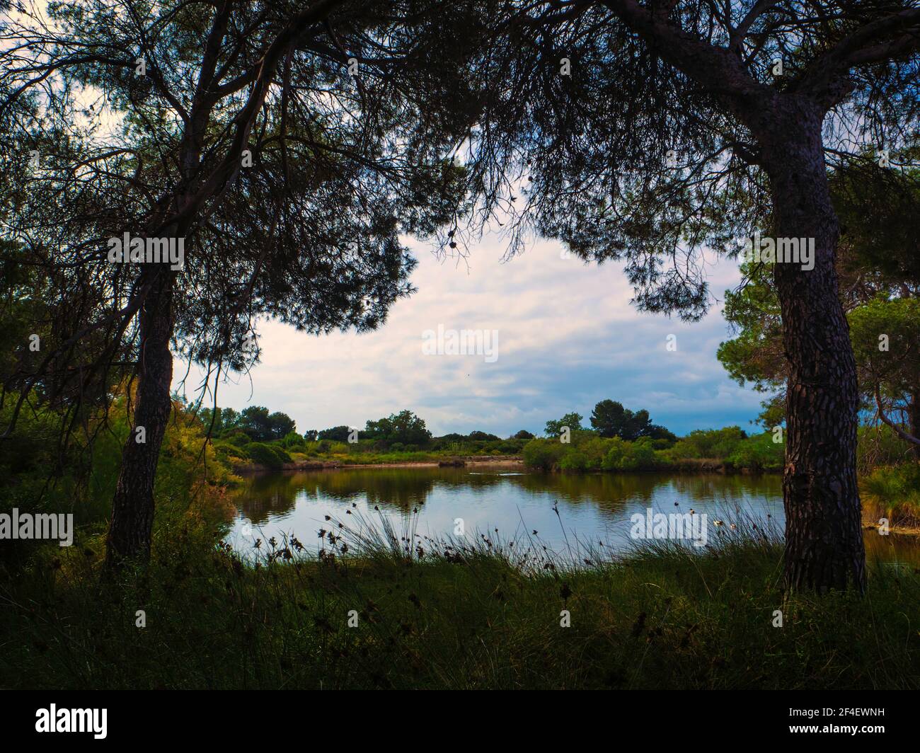 The wetland of the Albufera de Valencia Natural Park between two large ...