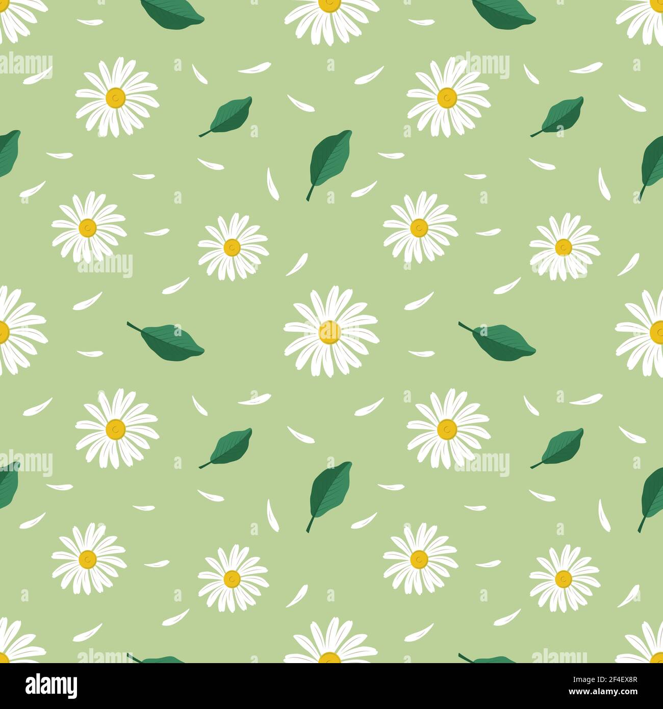 Daisies texture Stock Vector Images - Alamy