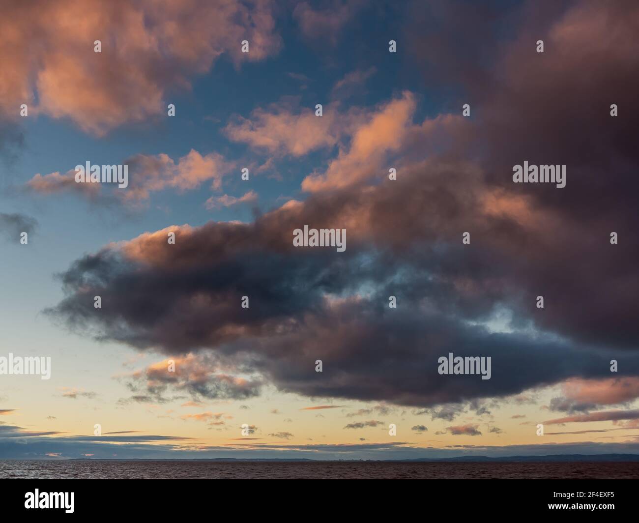 If you look closely it looks like a rabbit Stock Photo - Alamy