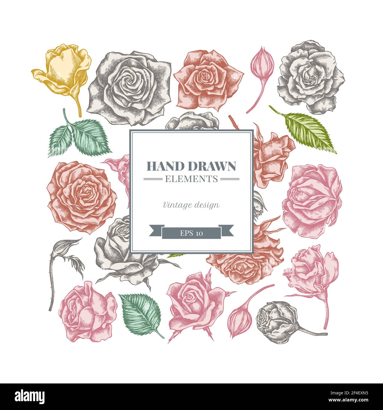 Beautiful pastel pink layout Cut Out Stock Images & Pictures - Alamy