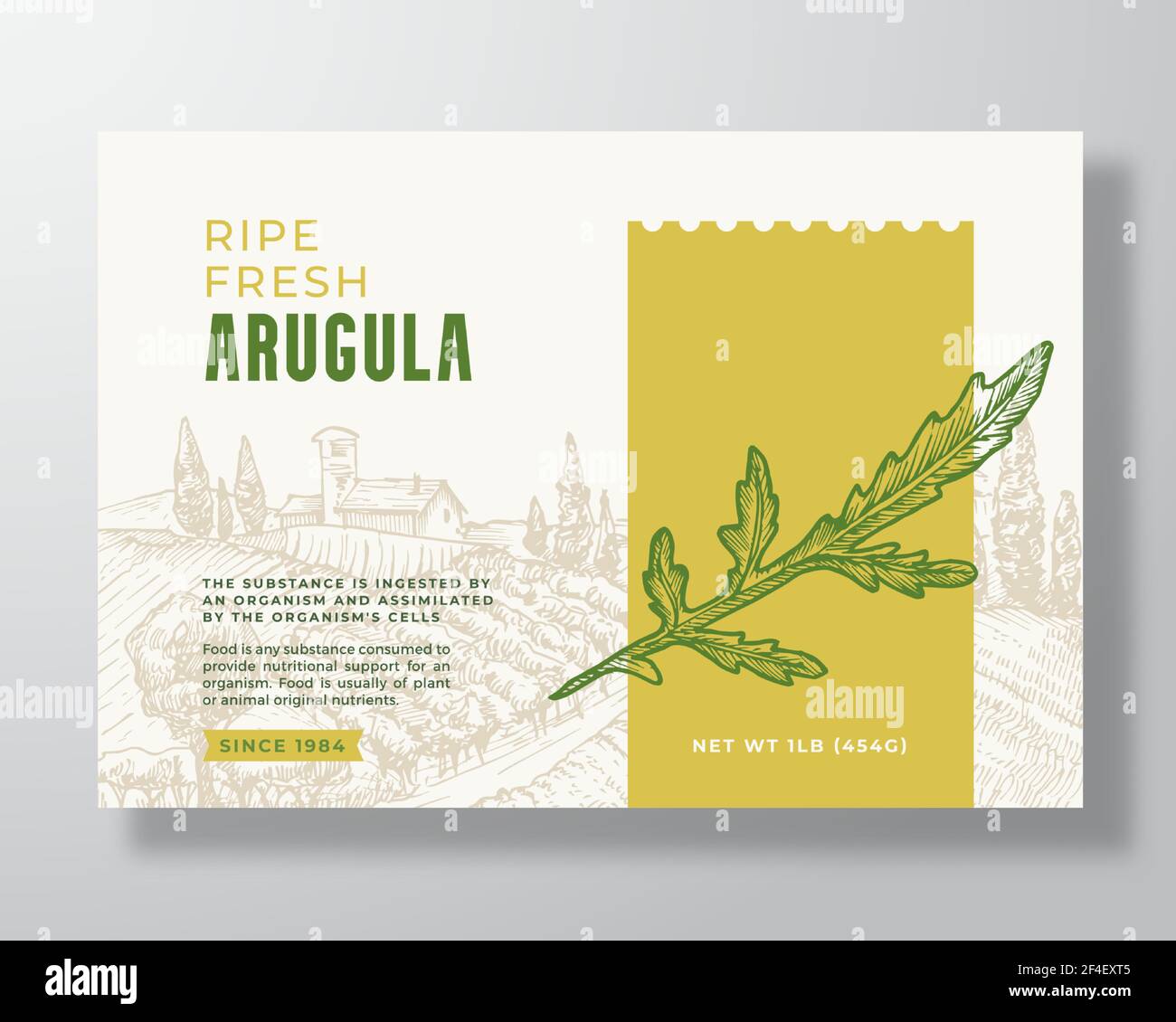 Fresh Arugula Food Label Template. Abstract Vector Packaging Design ...