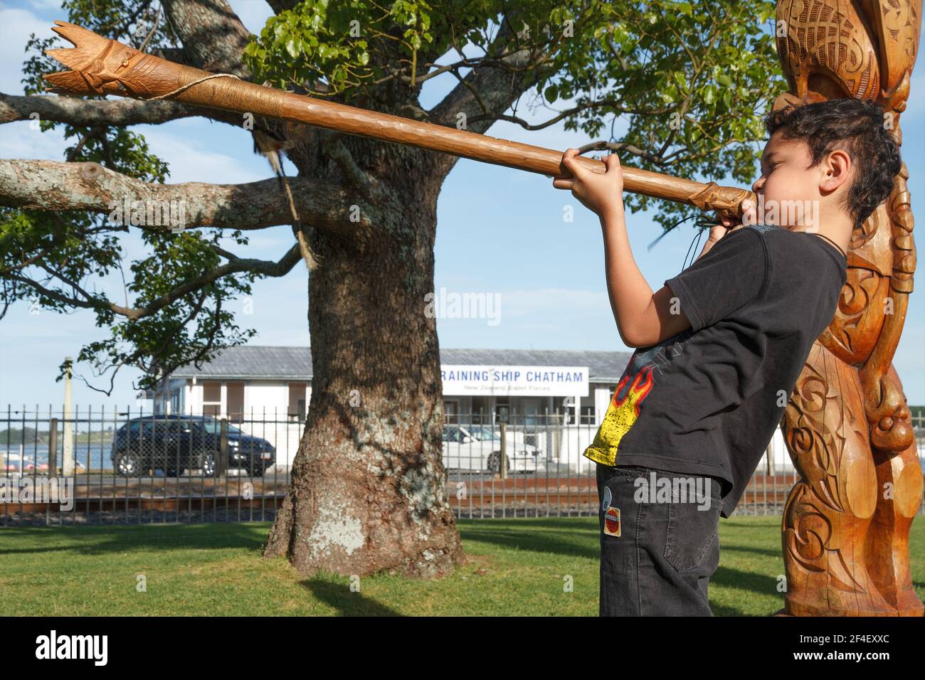 Pukaea hi-res stock photography and images - Alamy