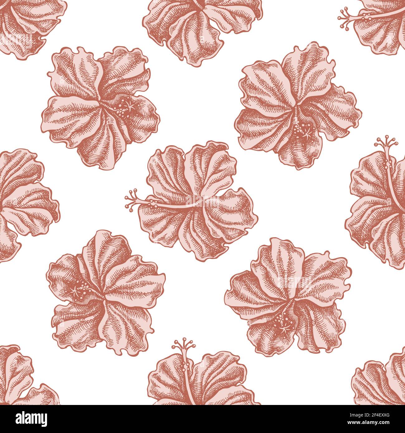 Hibiscus flower flora africa Stock Vector Images - Alamy