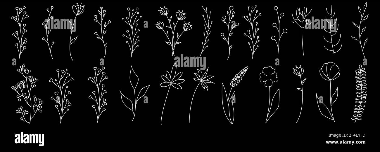 Collection of minimalistic simple floral elements. Graphic sketch ...