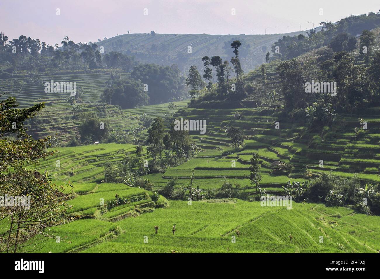 Sumedang hi-res stock photography and images - Alamy