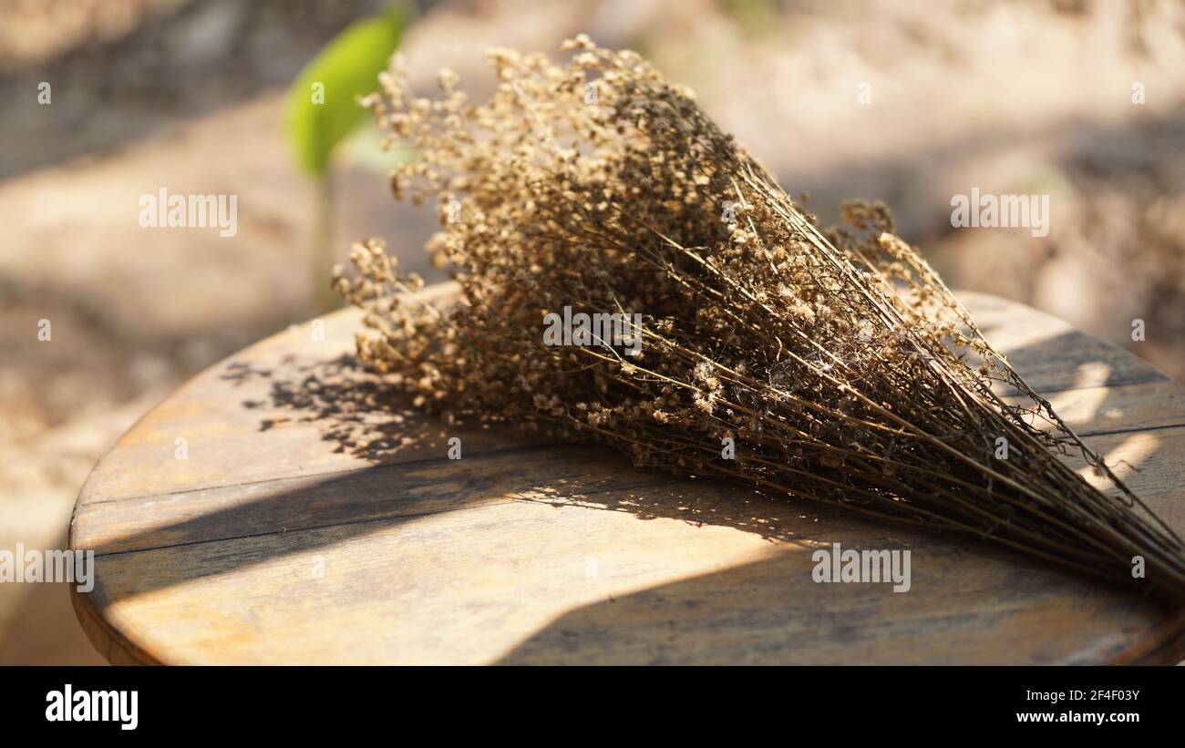 dried flower bouquet on wooden table at patio Stock Photo - Alamy