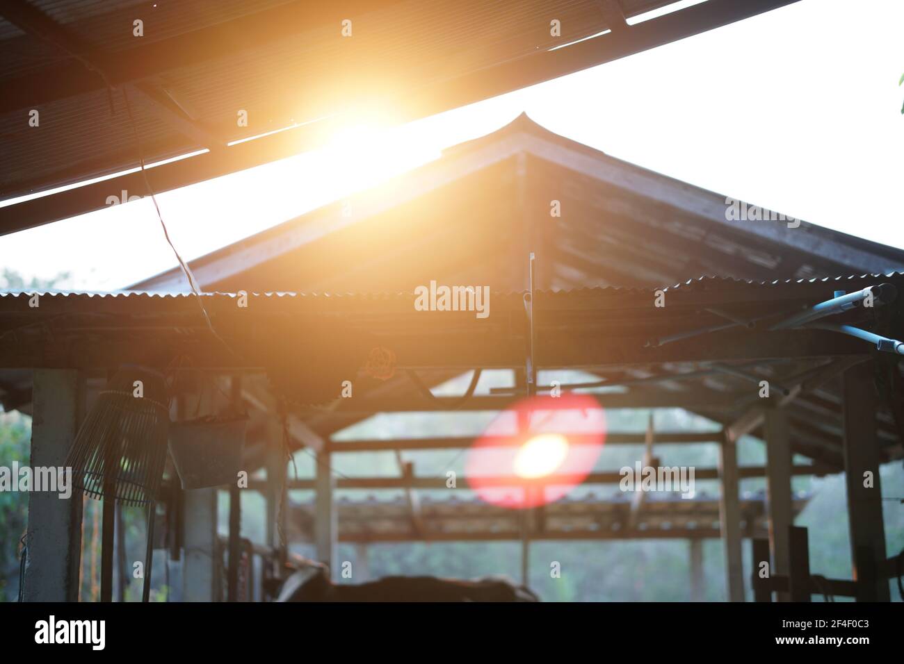 Stall roof hi-res stock photography and images - Alamy