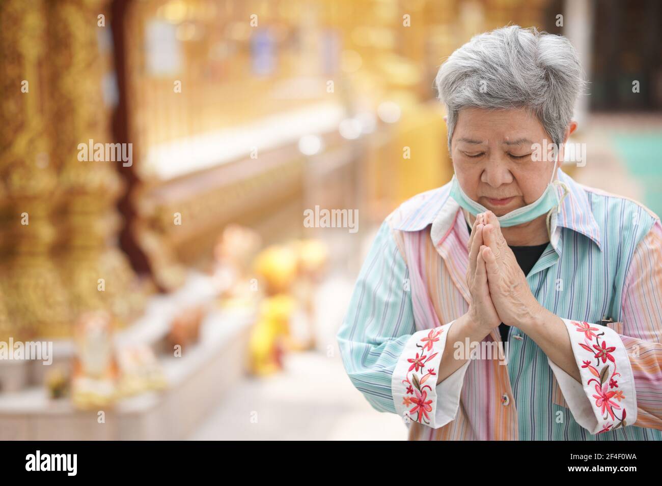 old asian elder senior woman traveler tourist praying at buddhist ...