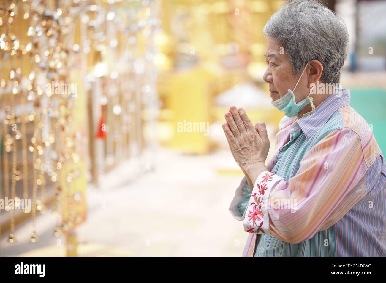 old asian elder senior woman traveler tourist praying at buddhist ...