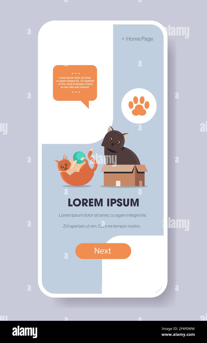 cute cats fluffy adorable cartoon animals domestic kitty home pets ...