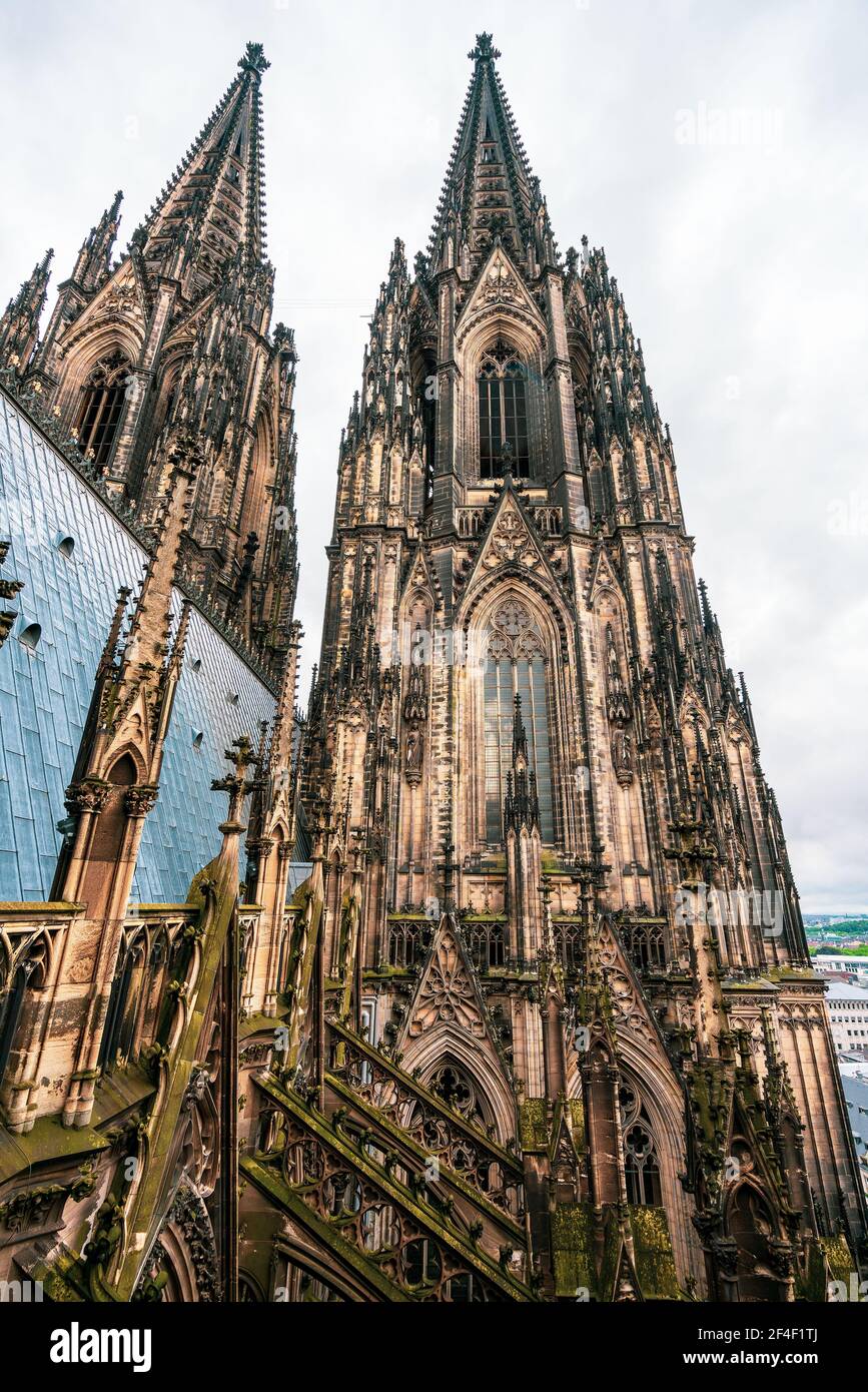 View of the Cologne Cathedral towers, Germany Stock Photo - Alamy