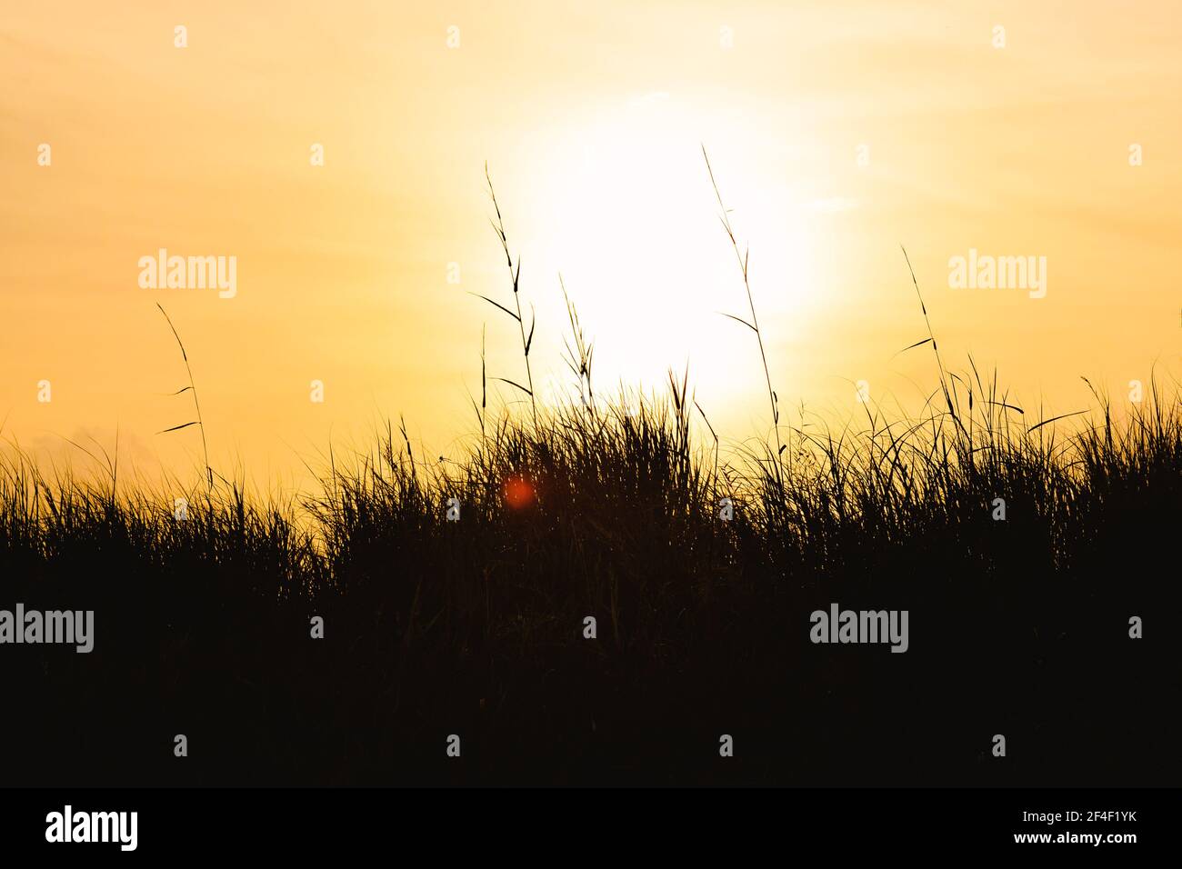 Sin silhouette hi-res stock photography and images - Alamy
