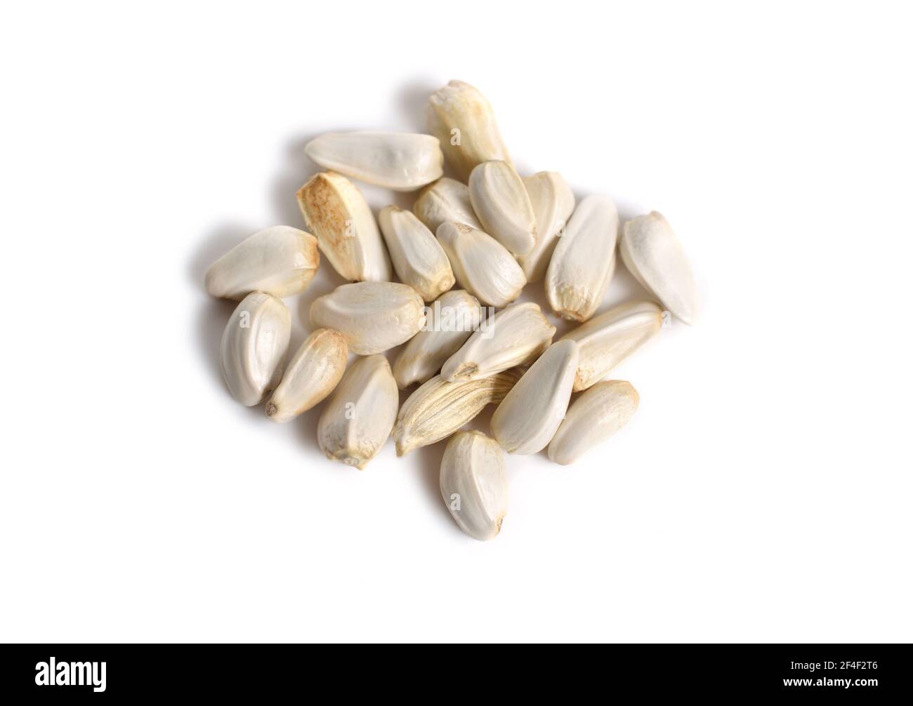 Carthamus tinctorius hi-res stock photography and images - Alamy