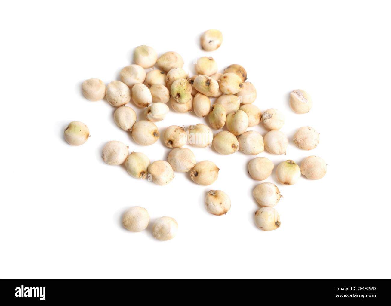 Kafir corn hi-res stock photography and images - Alamy