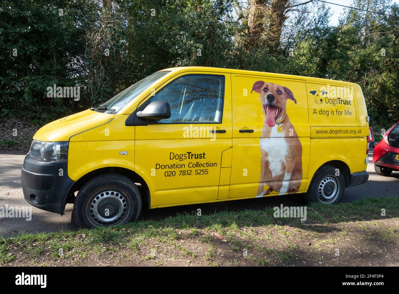 Dog's Trust charity yellow van, UK Stock Photo - Alamy