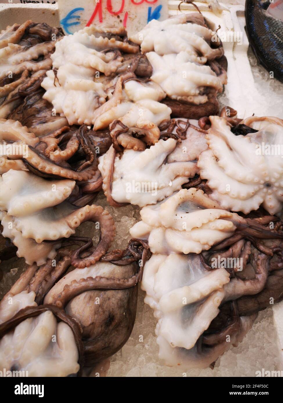 Cuttlefish cake hi-res stock photography and images - Alamy