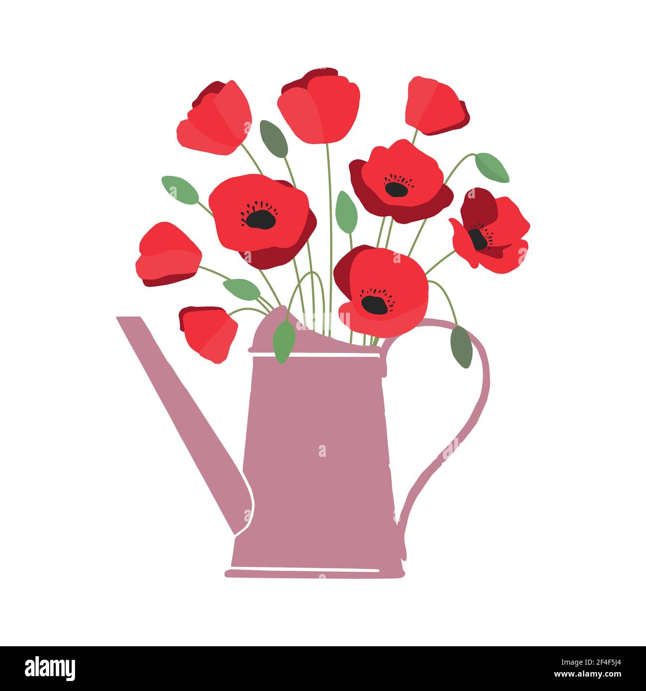 Vector illustration of bouquet of bright red poppy flowers in watering ...