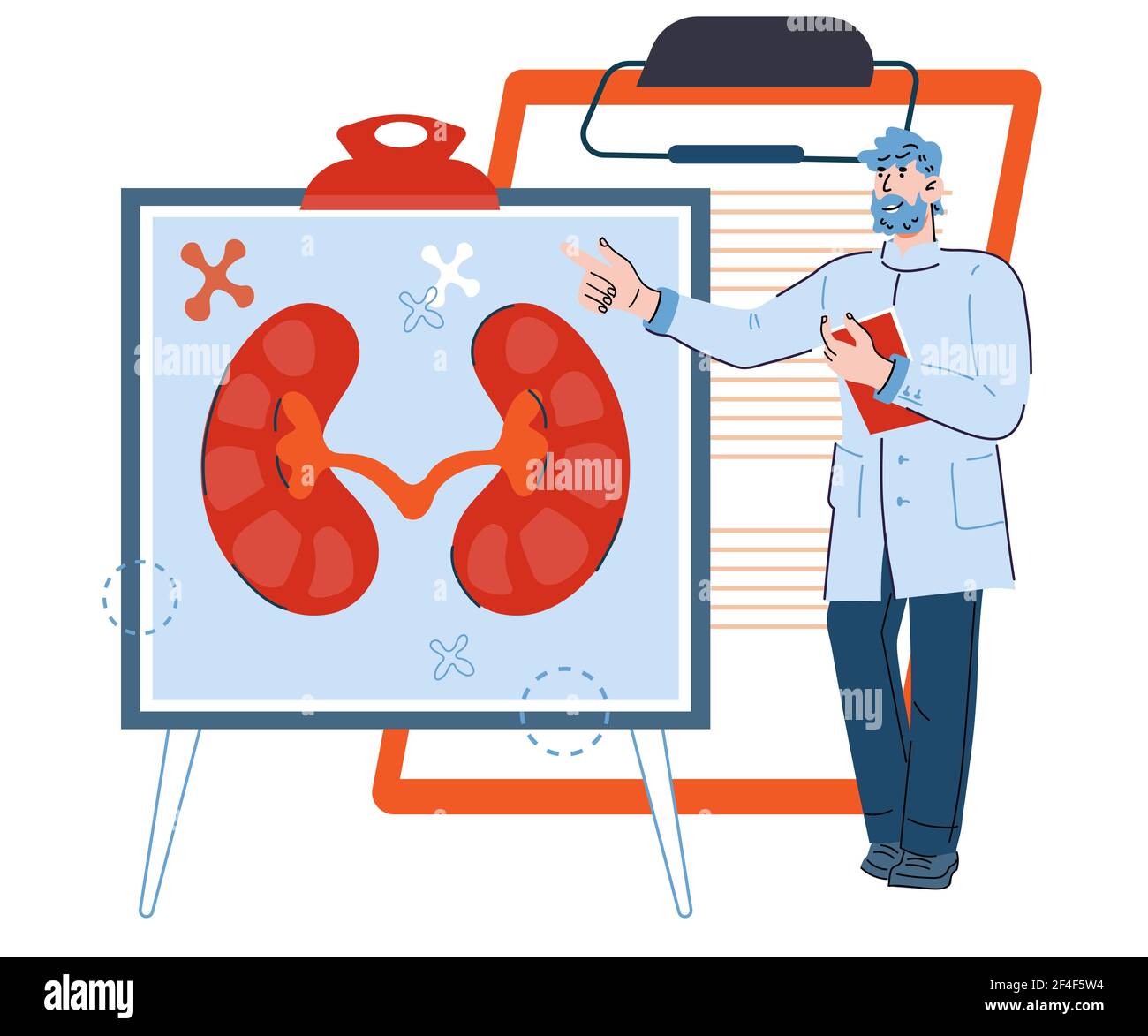 Doctor male cartoon character pointing at banner with image of kidneys ...