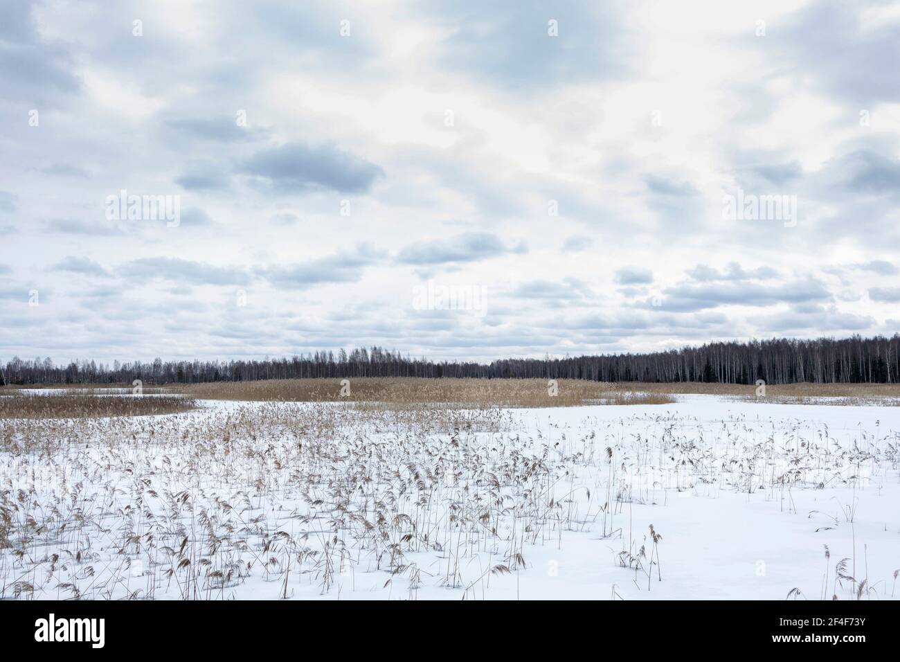Bog meadows winter hi-res stock photography and images - Alamy