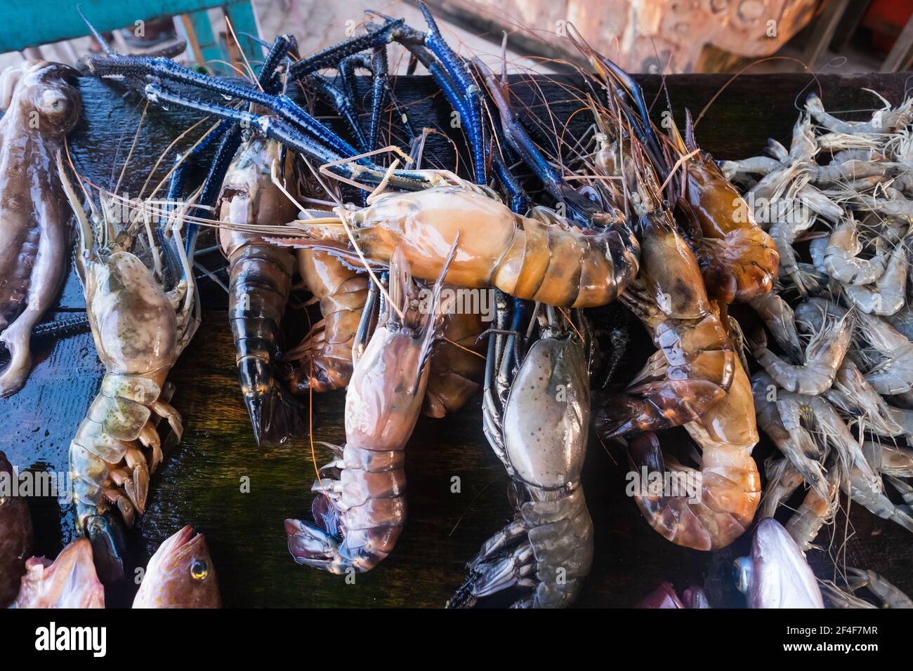 Fresh lobsters on counter hi-res stock photography and images - Alamy