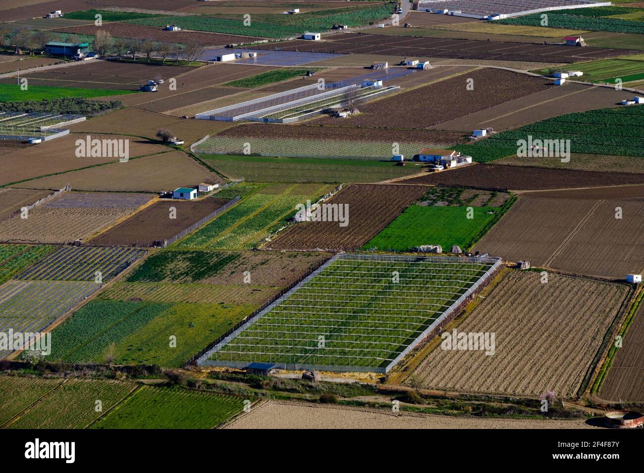 Polje de zafarraya hi-res stock photography and images - Alamy